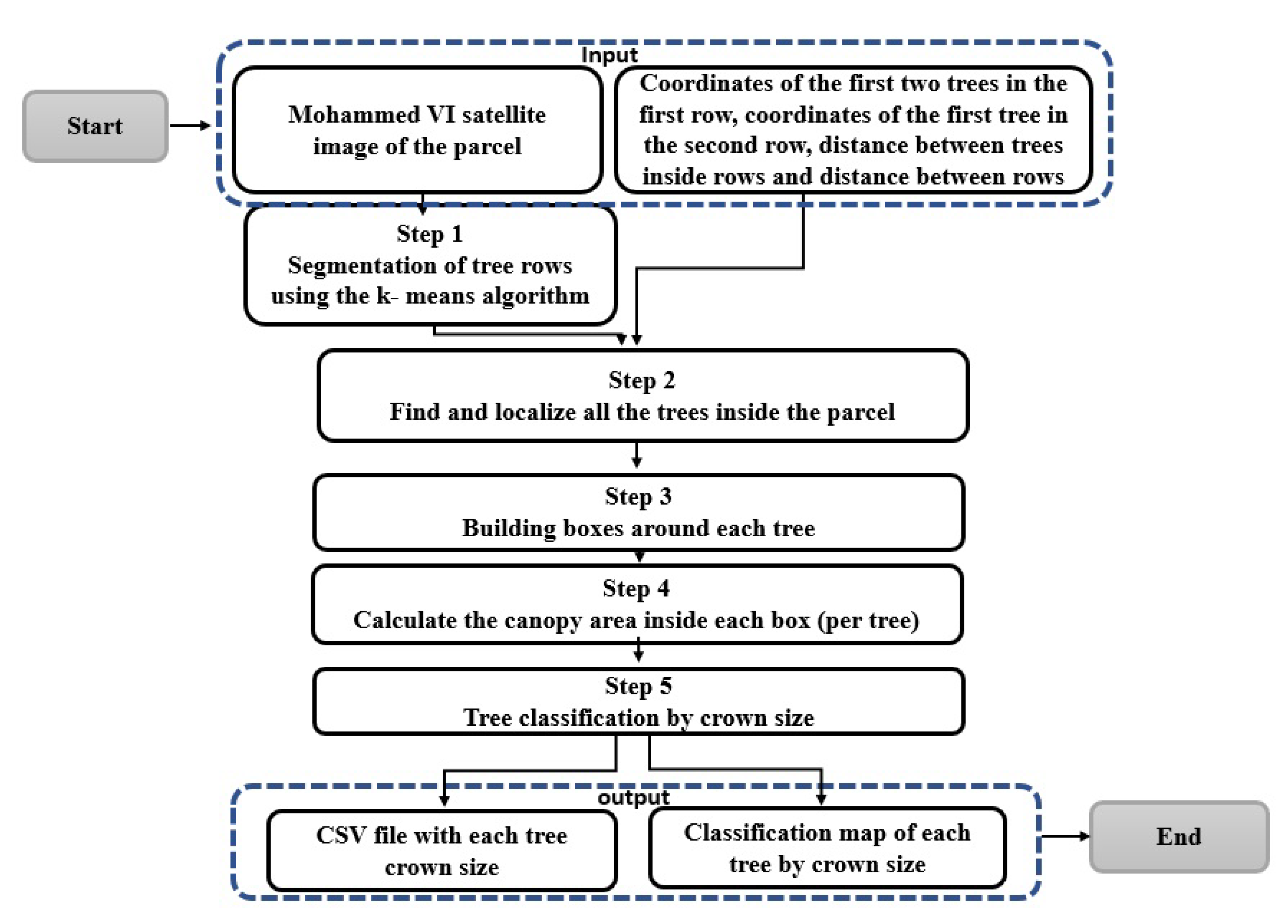 J. Imaging | Free Full-Text | Tree Crowns Segmentation and ...