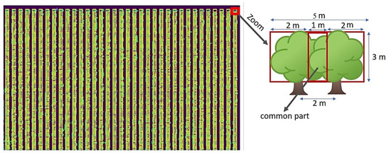 Tree Crowns Segmentation and Classification in Overlapping Orchards ...
