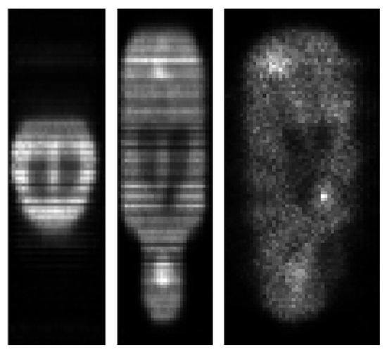 Learned Primal Dual Reconstruction for PET
