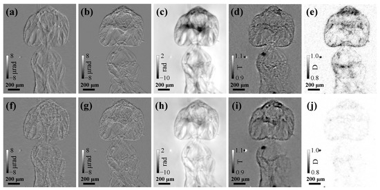 High-Resolution Scanning Coded-Mask-Based X-ray Multi-Contrast Imaging ...