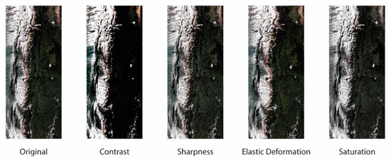 Comparison of Different Image Data Augmentation Approaches