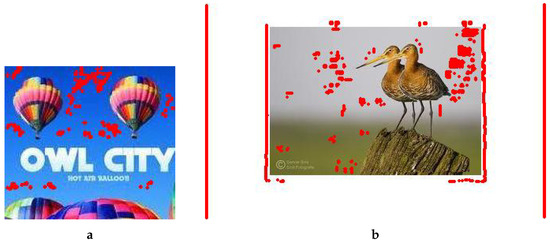 Seamless Copy–Move Replication in Digital Images
