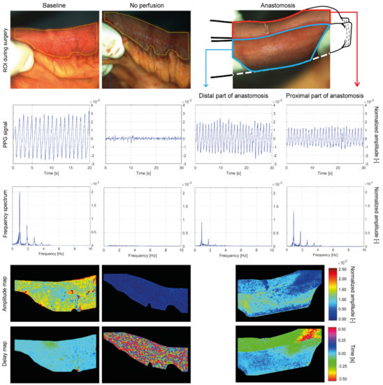 Journal of Imaging | An Open Access Journal from MDPI