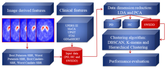Machine Learning for Early Parkinson’s Disease Identification within ...