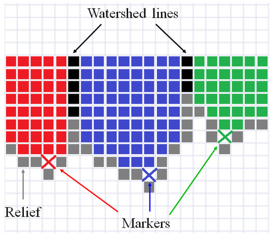 A Review of Watershed Implementations for Segmentation of Volumetric Images