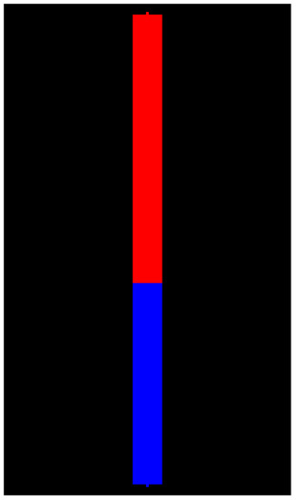 A Review of Watershed Implementations for Segmentation of Volumetric Images