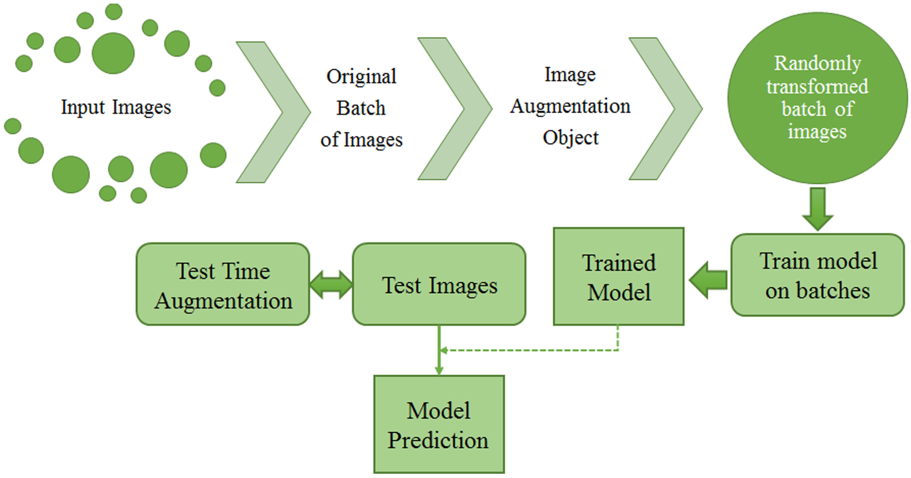 Image Augmentation Techniques for Mammogram Analysis