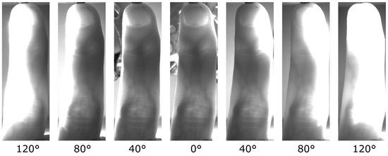 Three-Dimensional Finger Vein Recognition: A Novel Mirror-Based Imaging ...