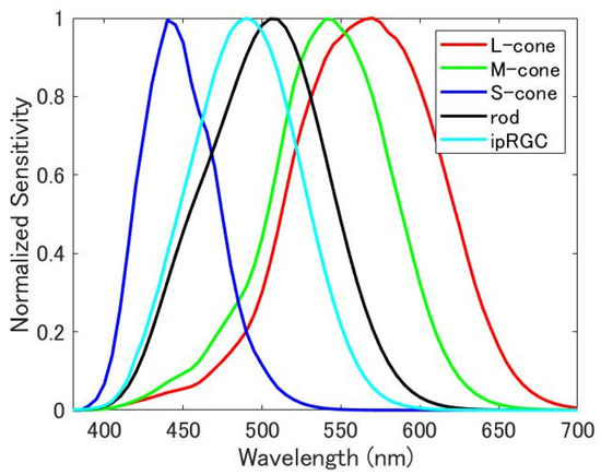 Evaluating the Influence of ipRGCs on Color Discrimination