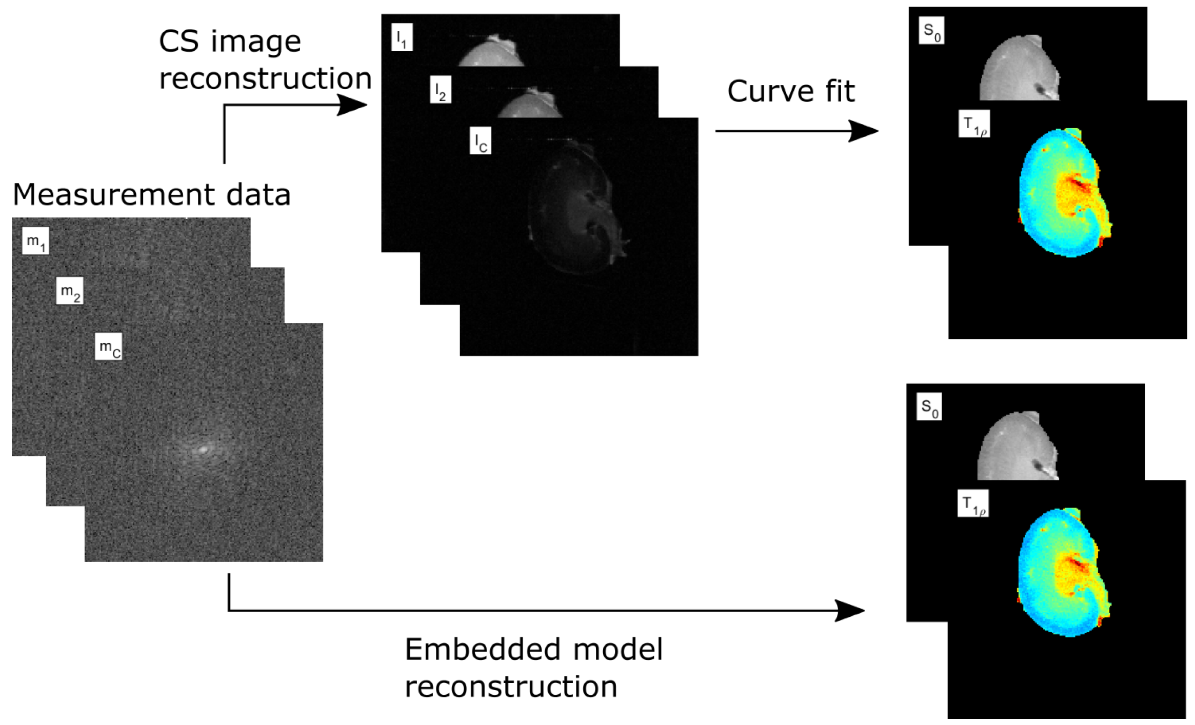 Embedded Quantitative MRI T1ρ Mapping Using Non-Linear Primal-Dual Proximal Splitting
