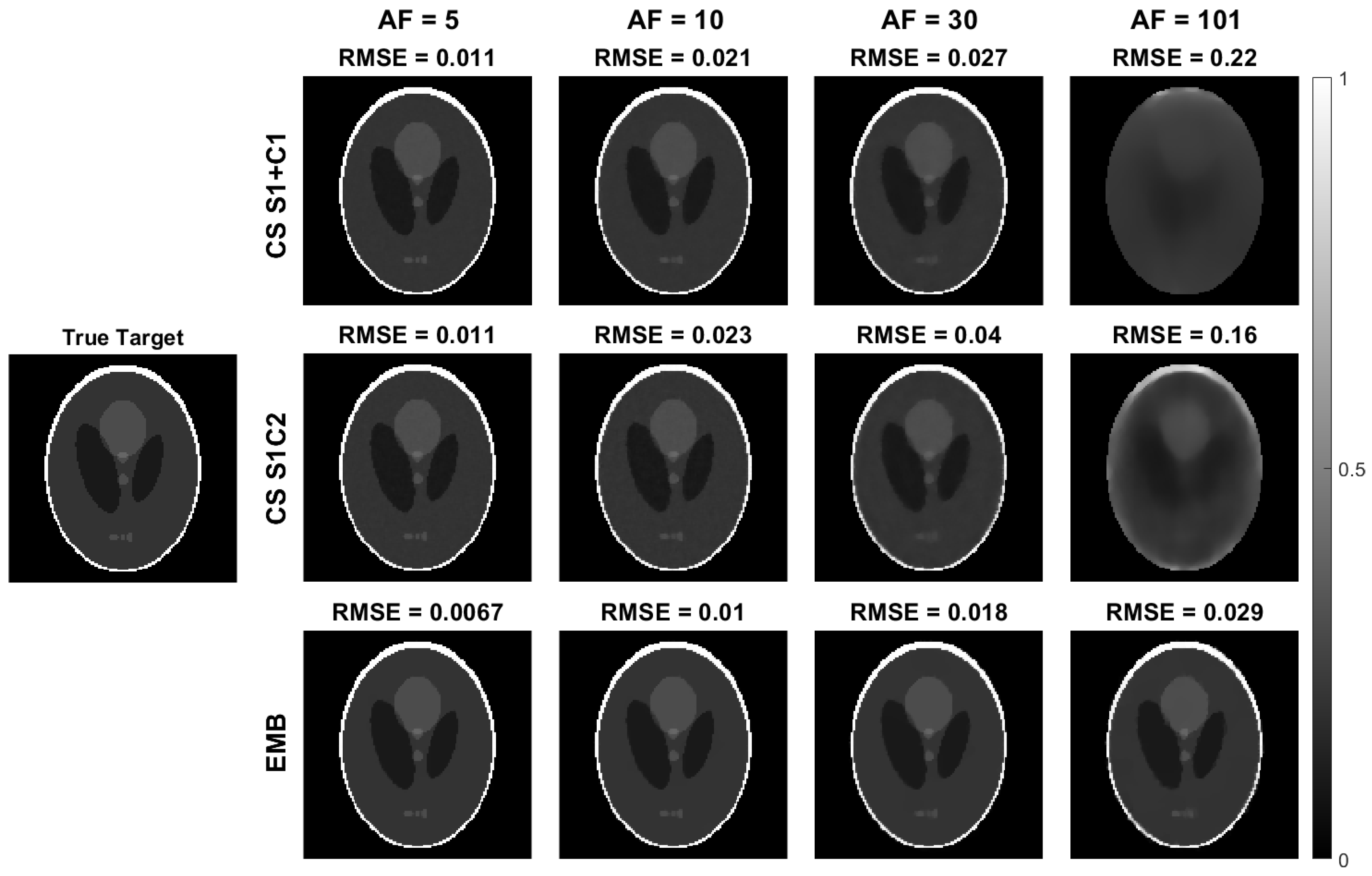 Embedded Quantitative MRI T1ρ Mapping Using Non-Linear Primal-Dual Proximal Splitting
