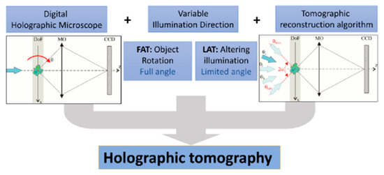 Advances in Digital Holographic Interferometry
