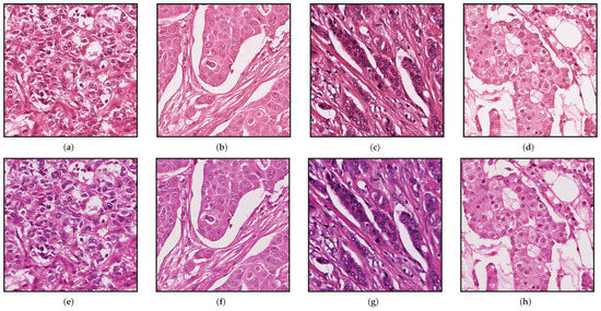J. Imaging | Free Full-Text | StainCUT: Stain Normalization with ...
