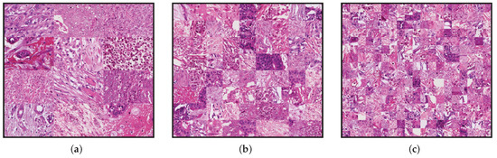 Journal of Imaging | An Open Access Journal from MDPI