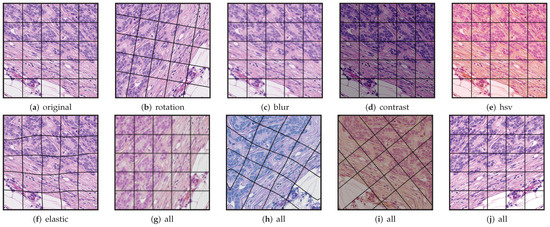 J. Imaging | Free Full-Text | StainCUT: Stain Normalization with ...