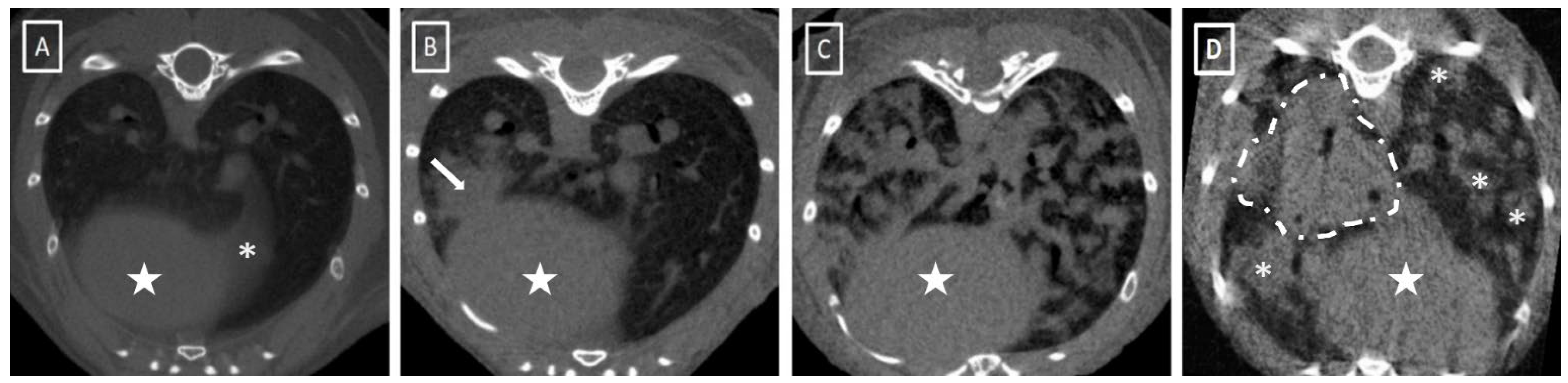 Lung Volume Calculation in Preclinical MicroCT: A Fast Geometrical Approach