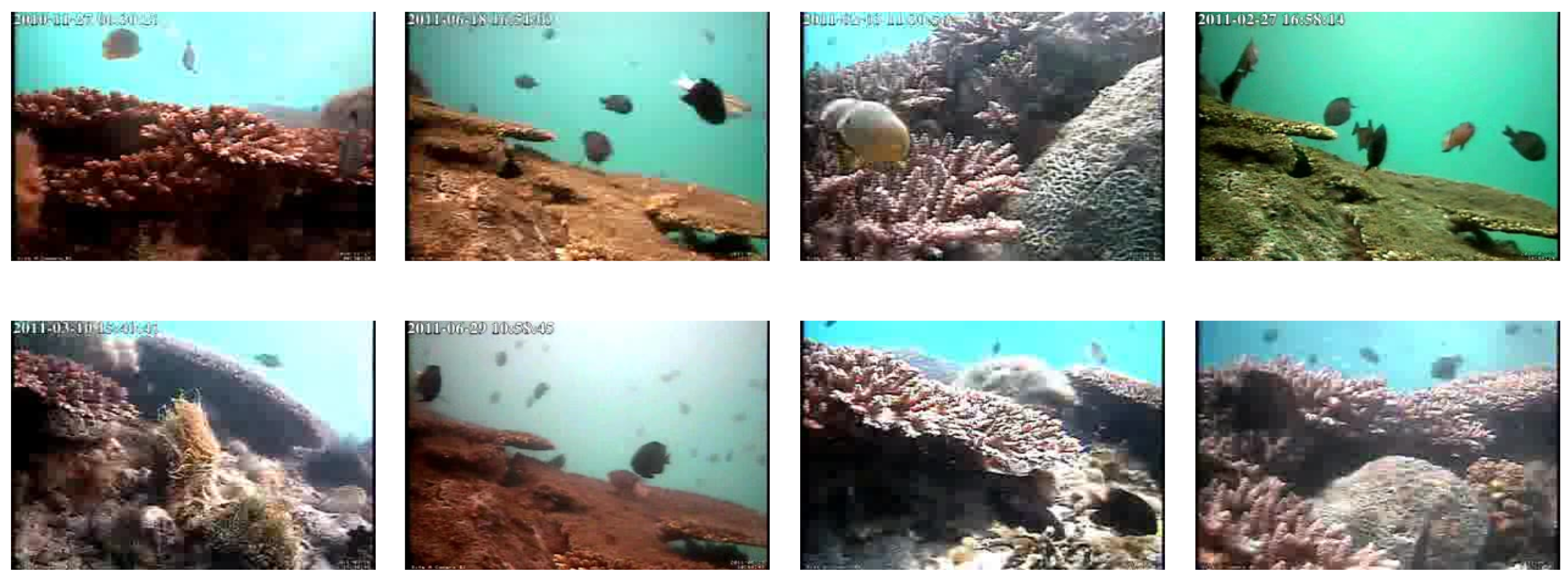 J. Imaging | Free Full-Text | Targeted Data Augmentation and ...