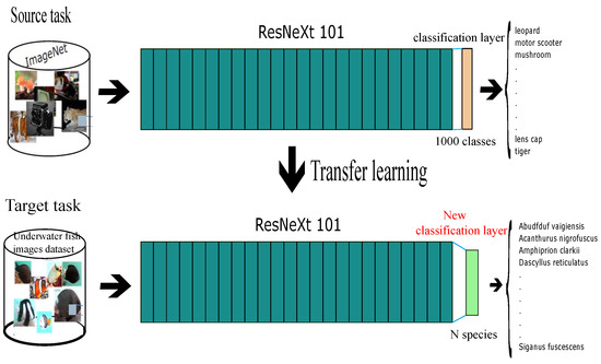 J. Imaging | Free Full-Text | Targeted Data Augmentation and ...