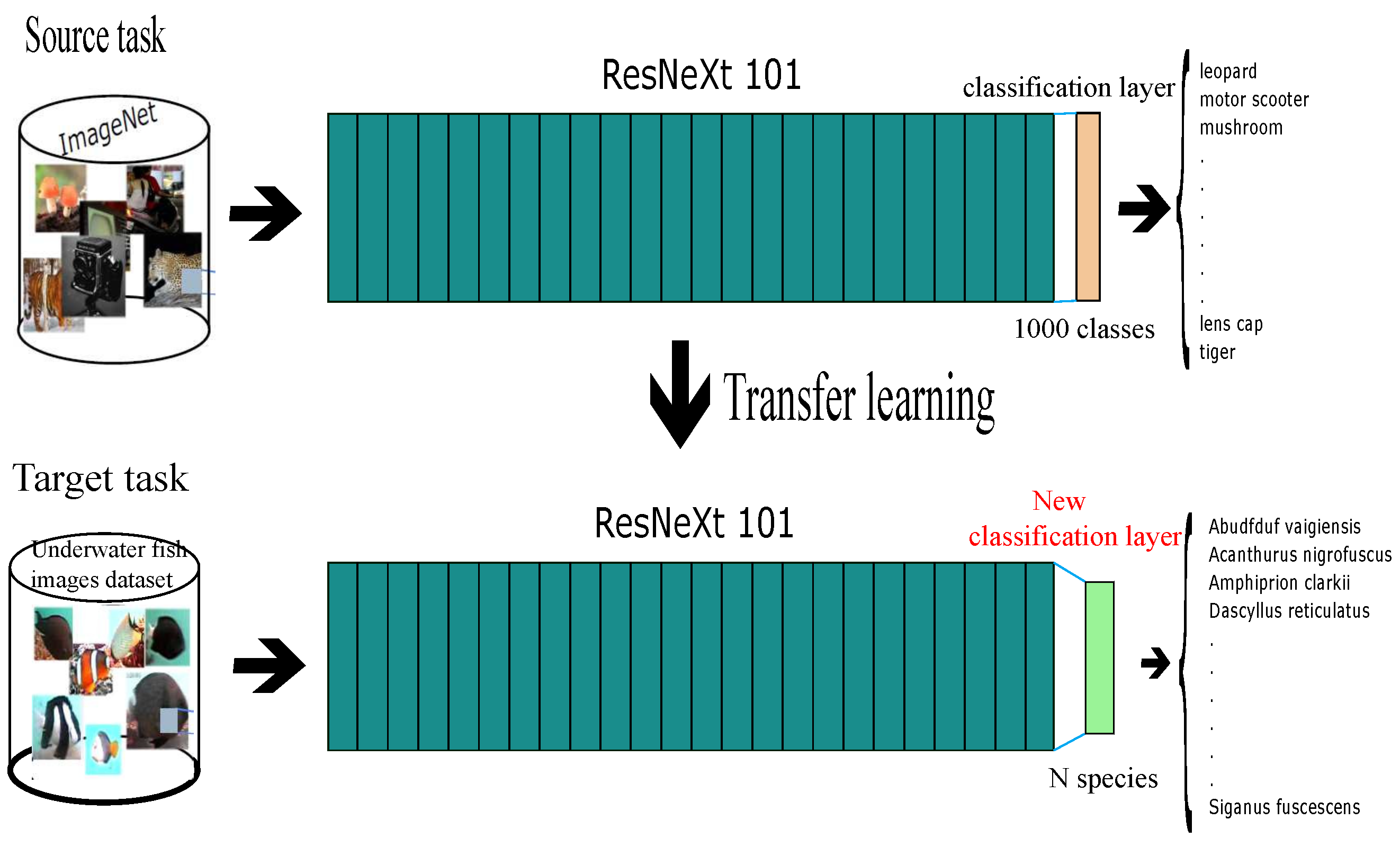 J. Imaging | Free Full-Text | Targeted Data Augmentation and ...