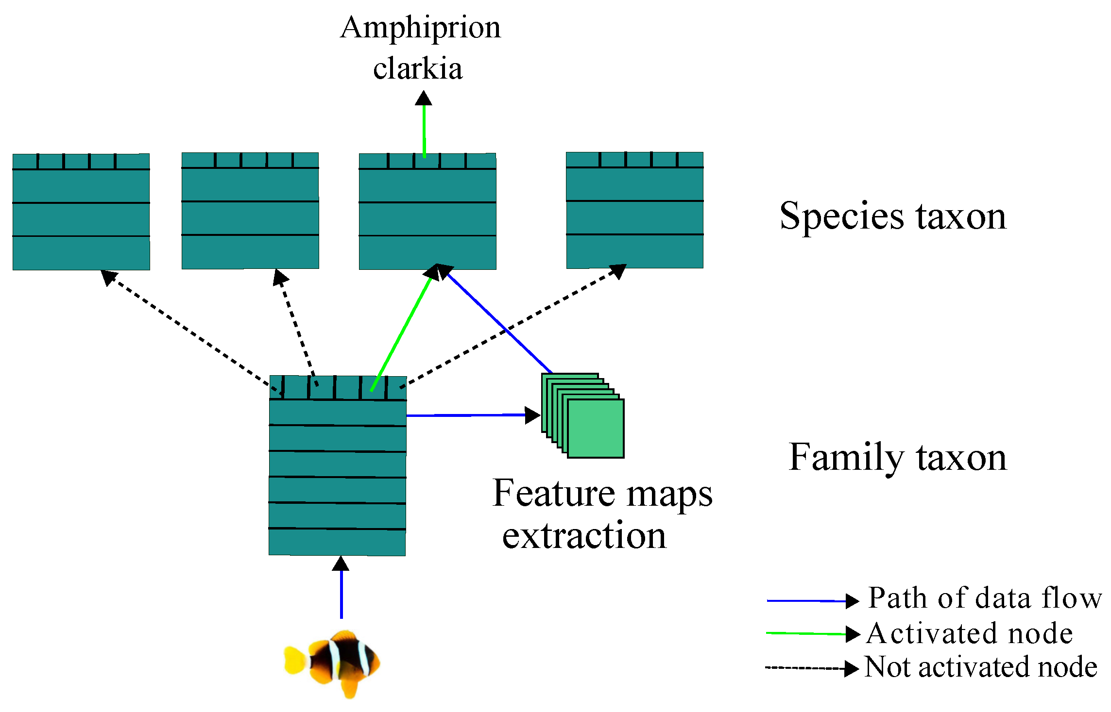 J. Imaging | Free Full-Text | Targeted Data Augmentation and ...