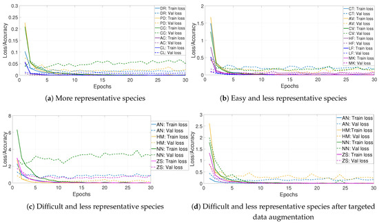 J. Imaging | Free Full-Text | Targeted Data Augmentation and ...
