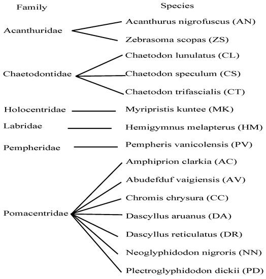 J. Imaging | Free Full-Text | Targeted Data Augmentation and ...