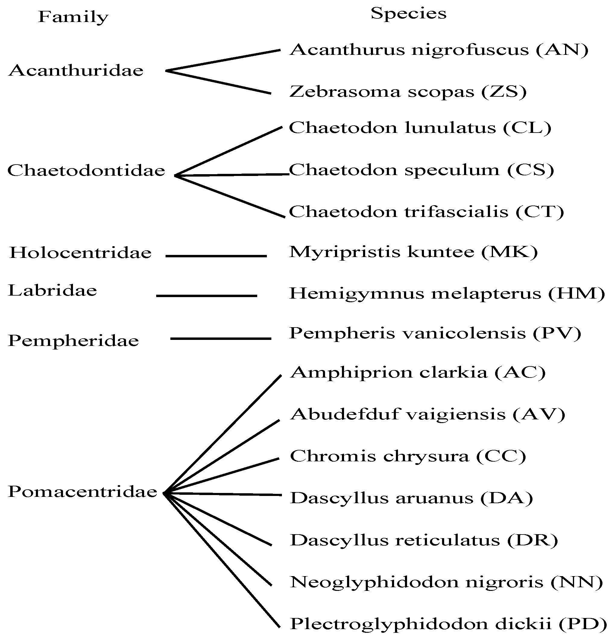 J. Imaging | Free Full-Text | Targeted Data Augmentation and Hierarchical Classification with ...