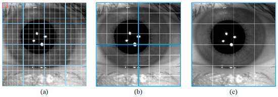 Towards More Accurate and Complete Heterogeneous Iris Segmentation Using a Hybrid Deep Learning ...