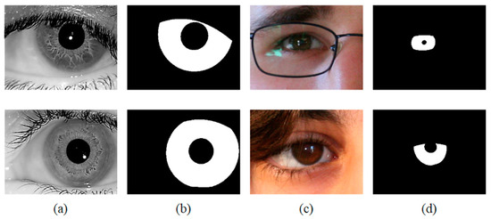 Towards More Accurate and Complete Heterogeneous Iris Segmentation Using a Hybrid Deep Learning ...
