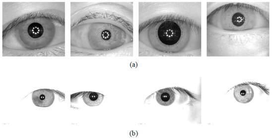 Towards More Accurate and Complete Heterogeneous Iris Segmentation Using a Hybrid Deep Learning ...