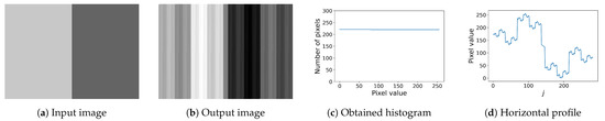 J. Imaging | Free Full-Text | Local Contrast-Based Pixel Ordering for Exact Histogram Specification