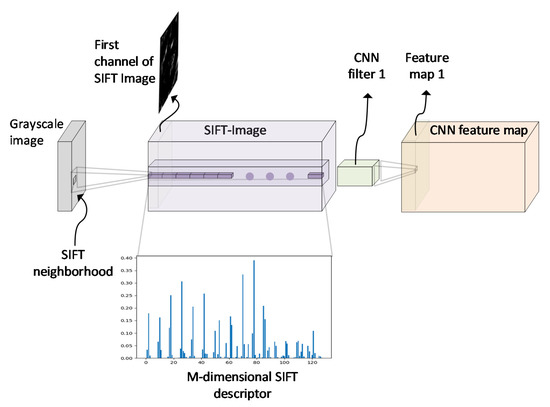 SIFT-CNN: When Convolutional Neural Networks Meet Dense SIFT Descriptors for Image and Sequence ...