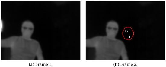 Sparse Optical Flow Implementation Using a Neural Network for Low ...