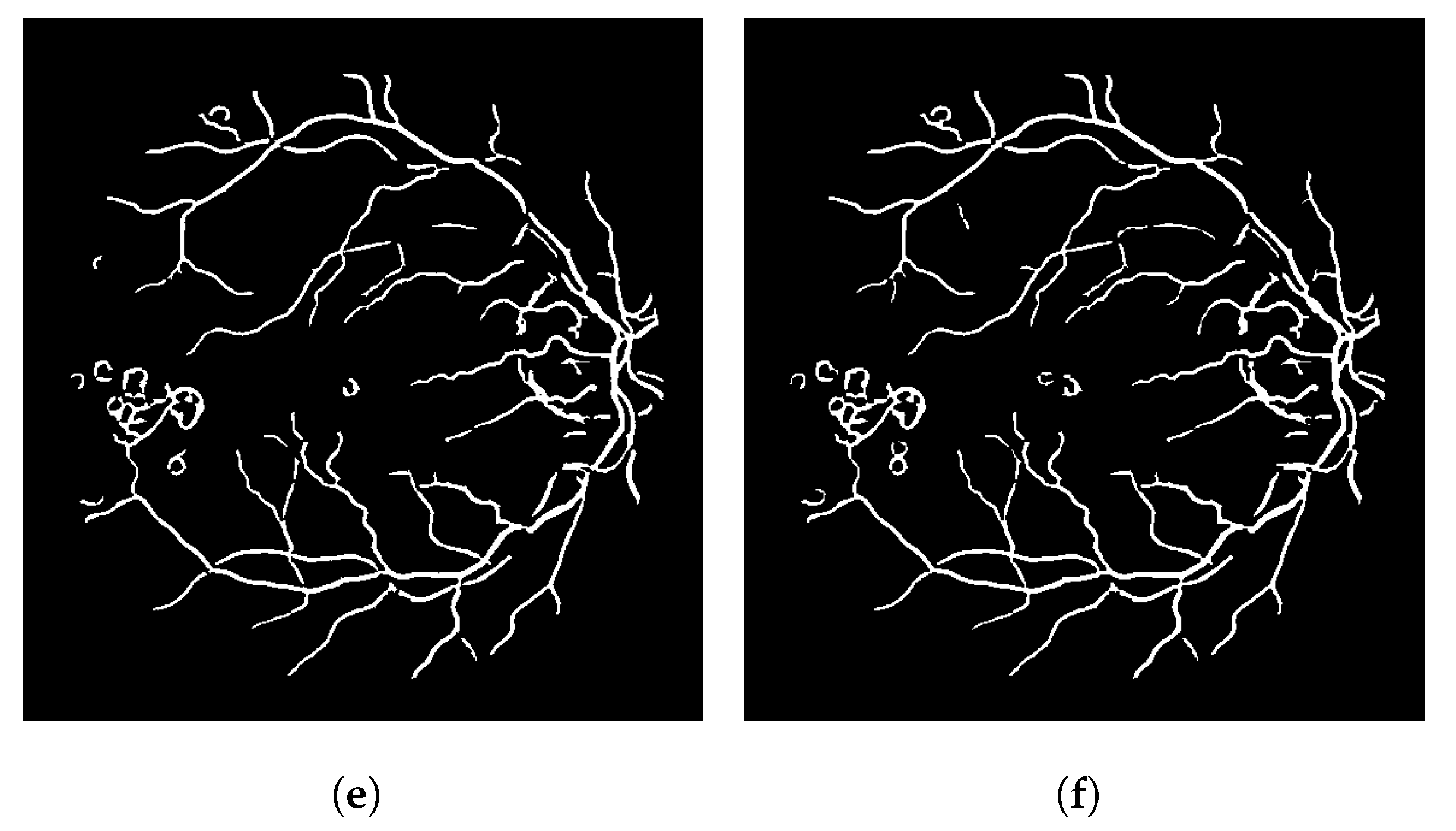 Local-Sensitive Connectivity Filter (LS-CF): A Post-Processing ...
