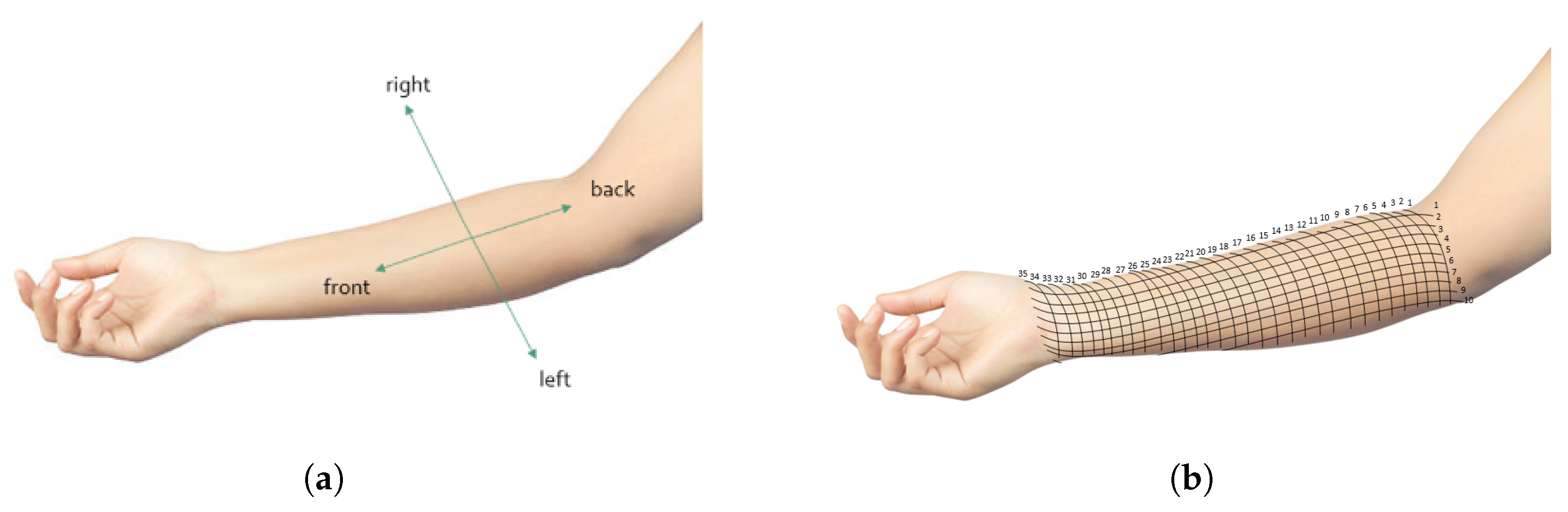 Towards a Low-Cost Monitor-Based Augmented Reality Training Platform ...