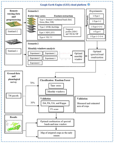J. Imaging | Free Full-Text | Rapid and Automated Approach for Early ...