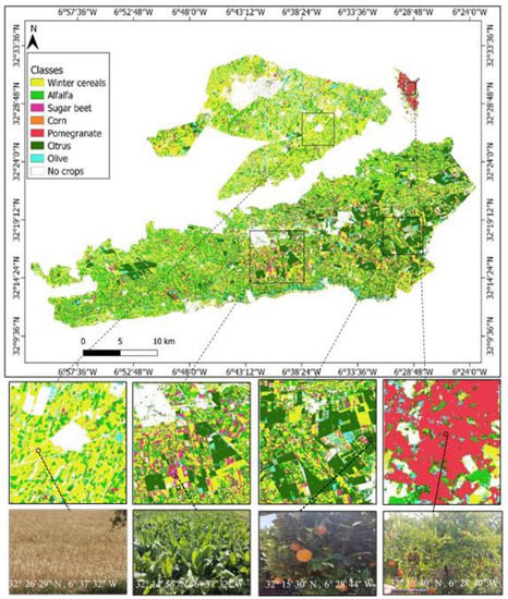 J. Imaging | Free Full-Text | Rapid and Automated Approach for Early Crop Mapping Using Sentinel ...