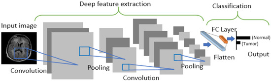 A Feature Extraction Using Probabilistic Neural Network and BTFSC-Net Model with Deep Learning ...