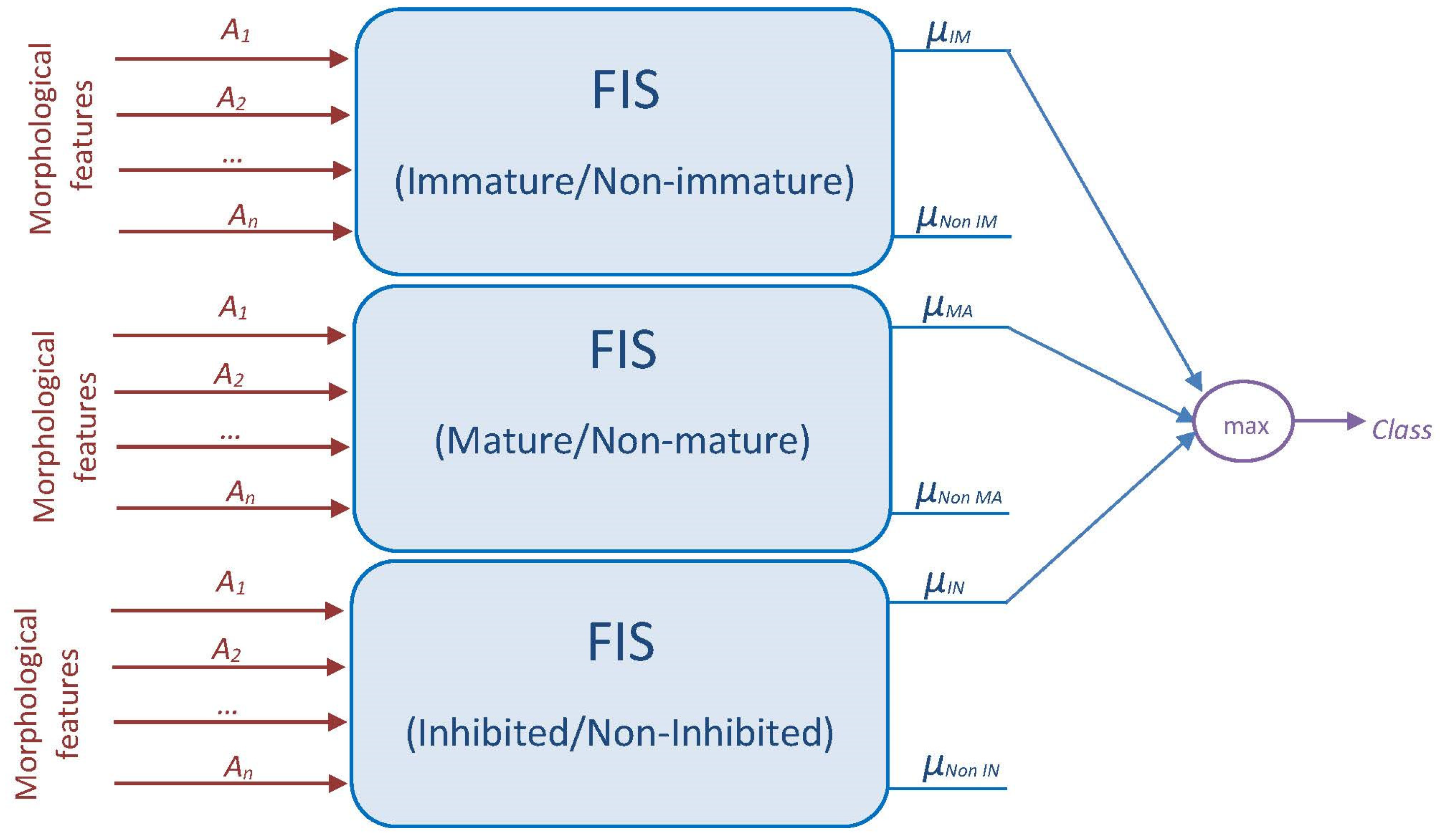 J. Imaging | Free Full-Text | Fuzzy Model for the Automatic Recognition ...