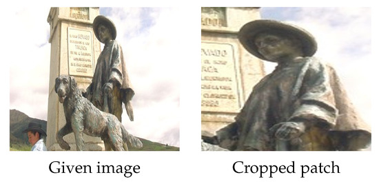 Data Augmentation in Classification and Segmentation: A Survey and New ...