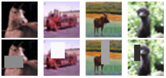 Data Augmentation in Classification and Segmentation: A Survey and New ...