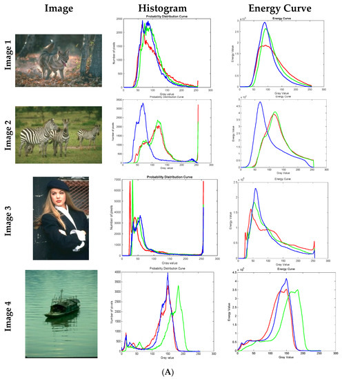 Efficient Approach to Color Image Segmentation Based on Multilevel Thresholding Using EMO ...