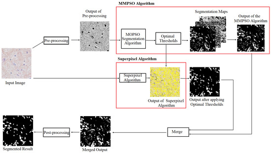 J. Imaging | Free Full-Text | Multilevel Multiobjective Particle Swarm ...