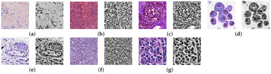 J. Imaging | Free Full-Text | Multilevel Multiobjective Particle Swarm ...