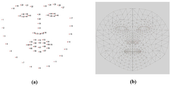 J. Imaging | Free Full-Text | Real-Time Machine Learning-Based Driver ...