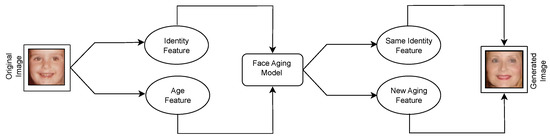 Face Aging by Explainable Conditional Adversarial Autoencoders