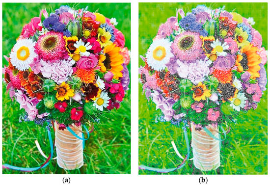 J. Imaging | Free Full-Text | Manipulating Pixels in Computer Graphics by Converting Raster ...