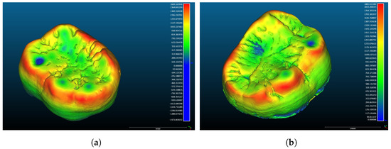 Measuring Dental Enamel Thickness: Morphological and Functional ...