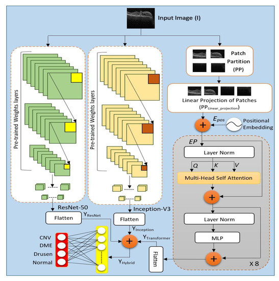 J. Imaging | Free Full-Text | Conv-ViT: A Convolution and Vision Transformer-Based Hybrid ...