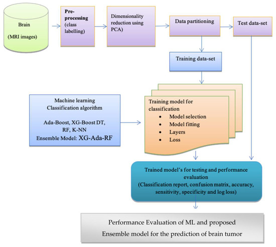 MRI-Based Effective Ensemble Frameworks for Predicting Human Brain Tumor